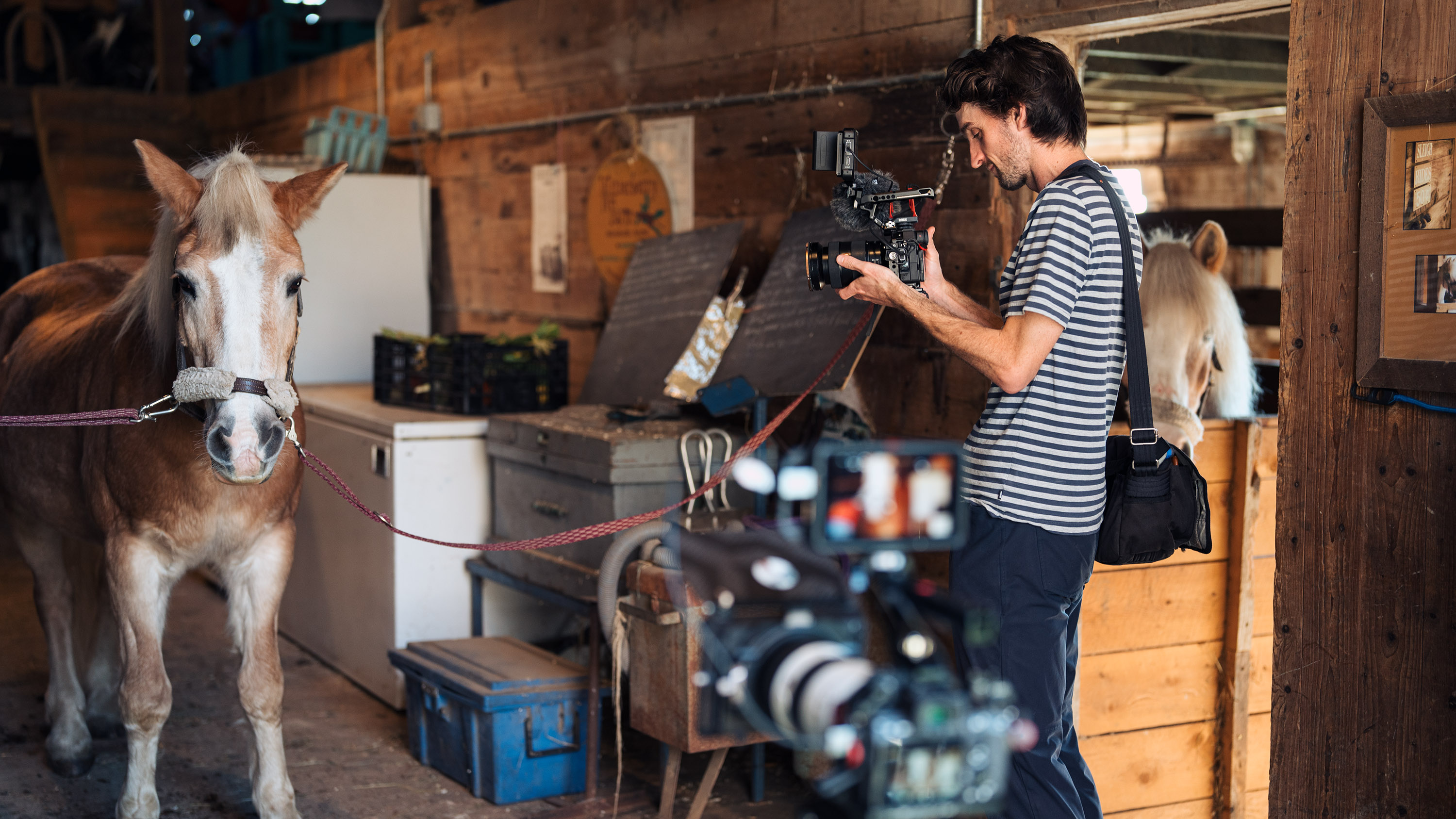 About Ian – Ian MacLellan